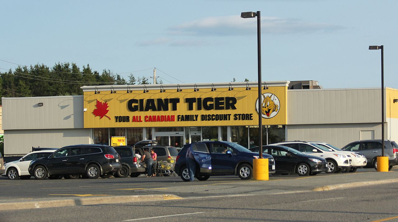 15 Giant Tiger Deals That Beat Other Stores