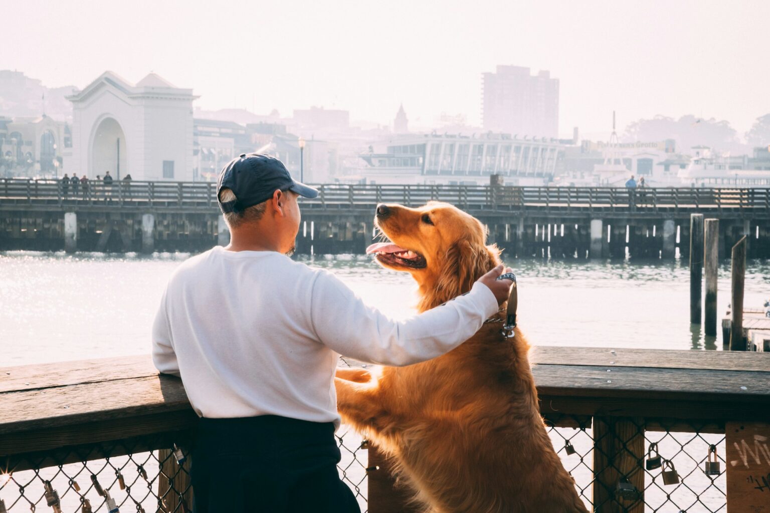 What your pet choice reveals about your relationship style: Dog people ...